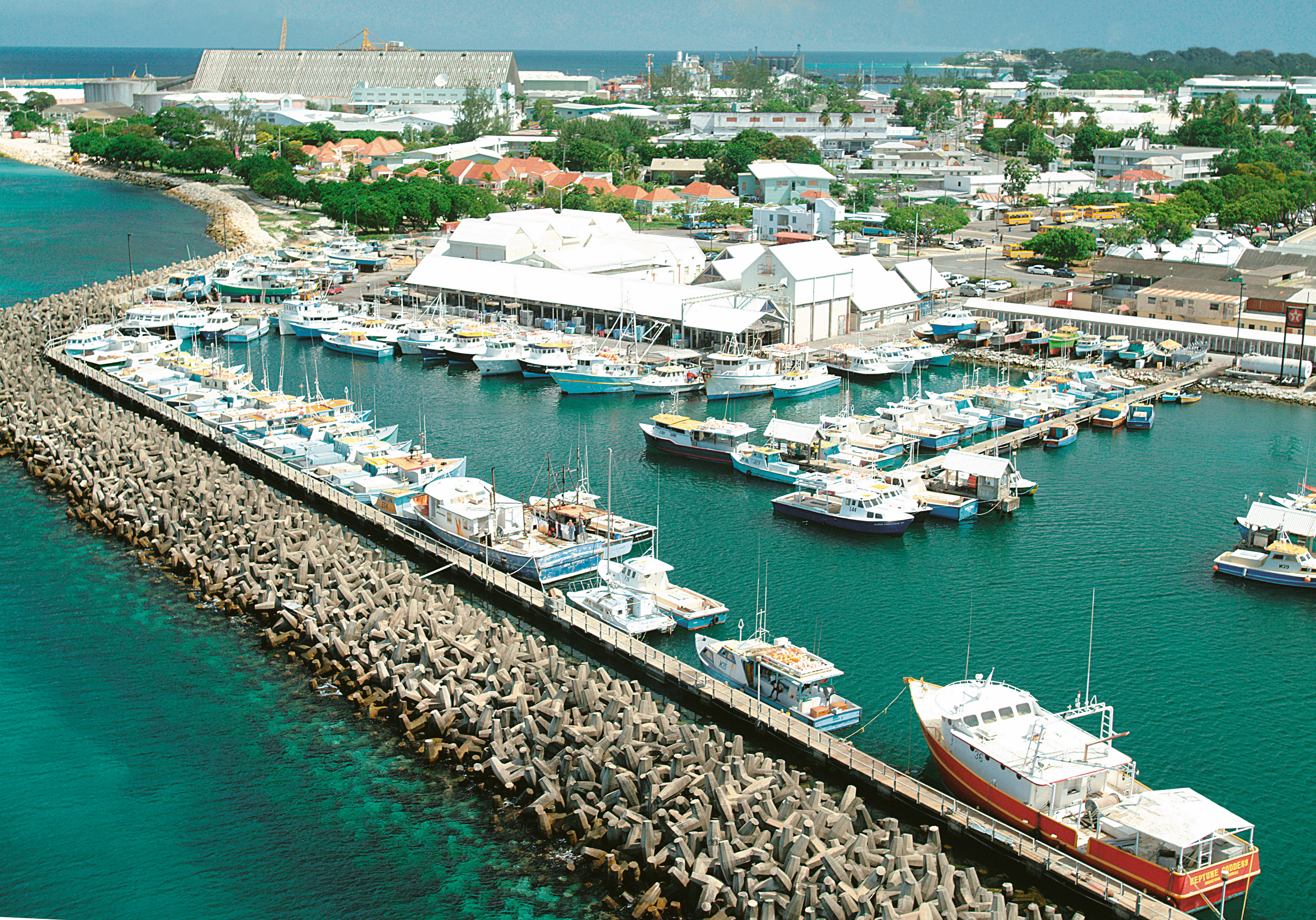 Bridgetown Fisheries - COW